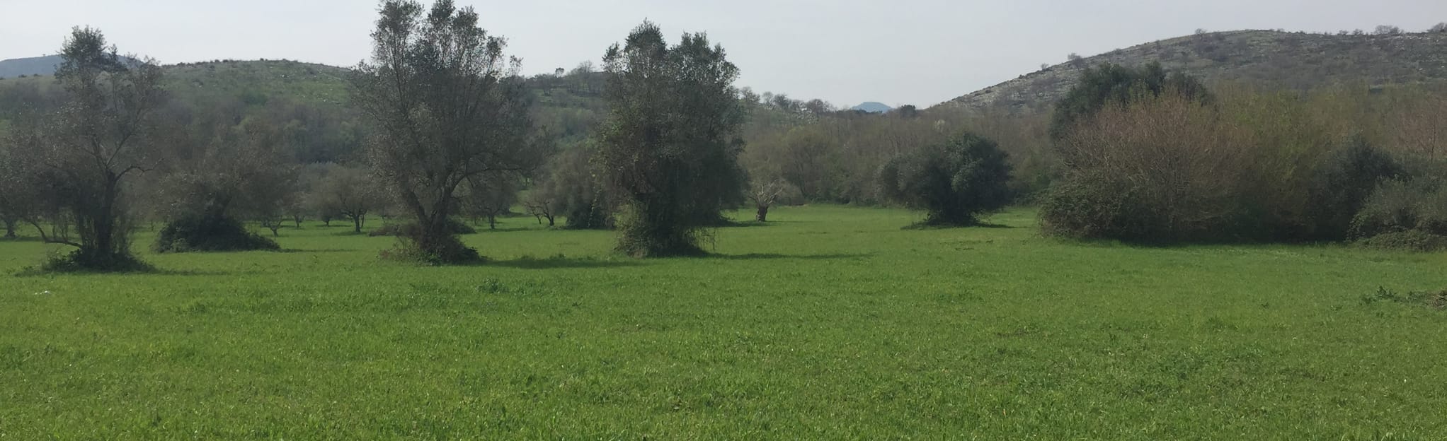 Le Comole via Castel Morrone: 12 Reviews, Map - Campania, Italy | AllTrails