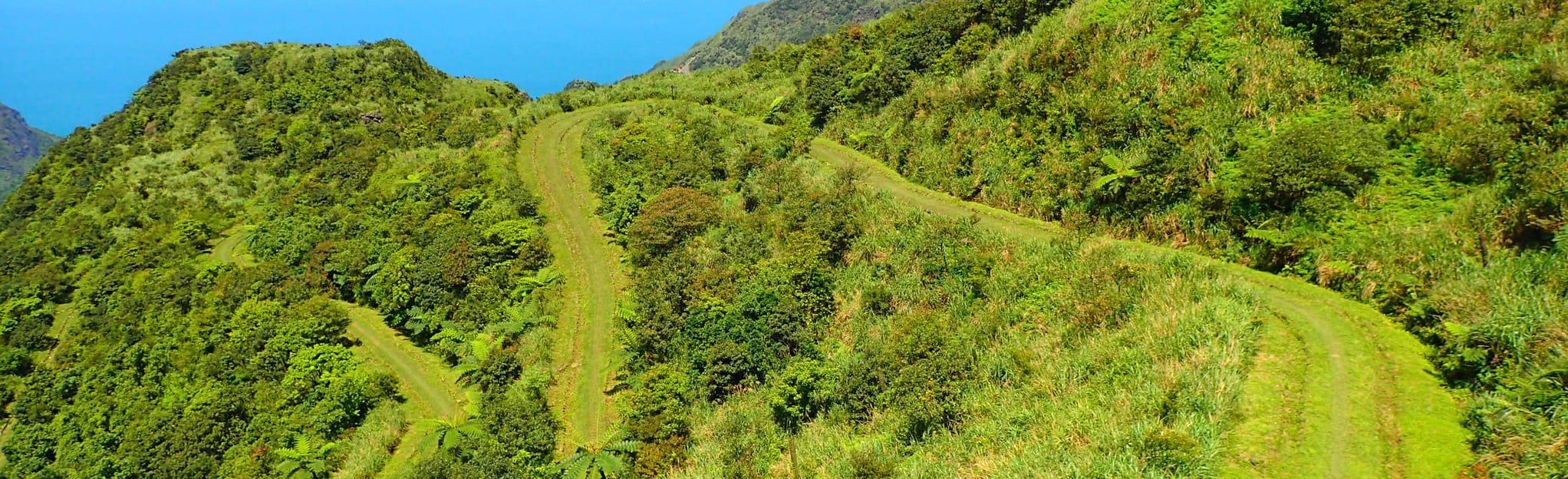 Tea Pot Mountain and Martyrs Shrine Loop, New Taipei City, Taiwan - 17 Reviews, Map | AllTrails