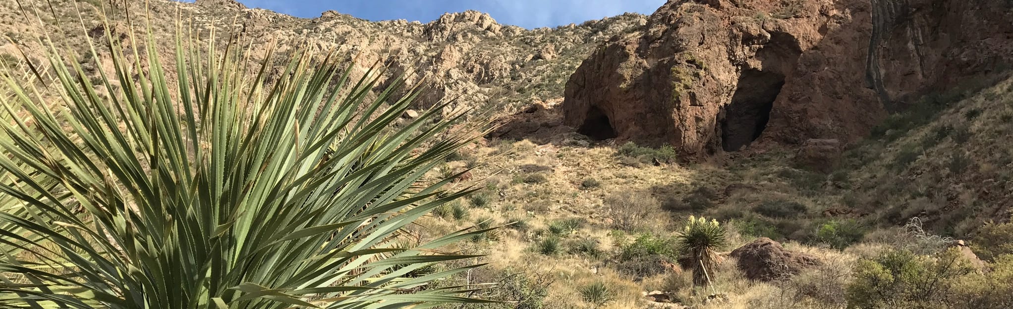 Aztec Cave Trail, Texas - 1,490 Reviews, Map | AllTrails