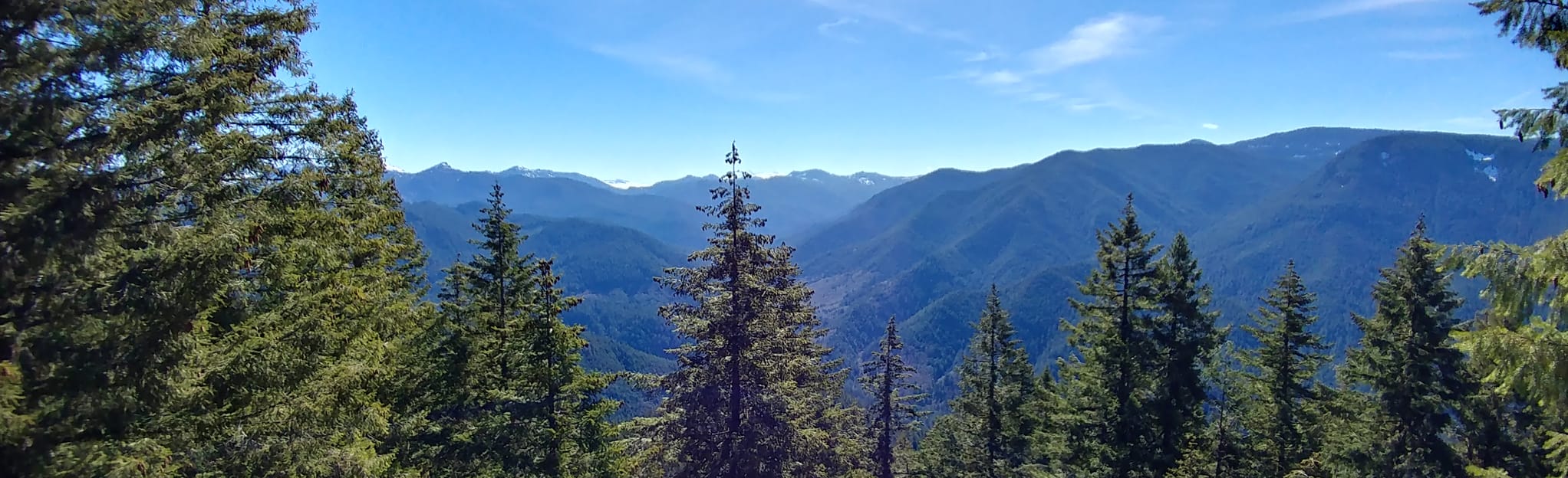 Rooster Rock Trail via East Trailhead: 177 Reviews, Map - Oregon ...