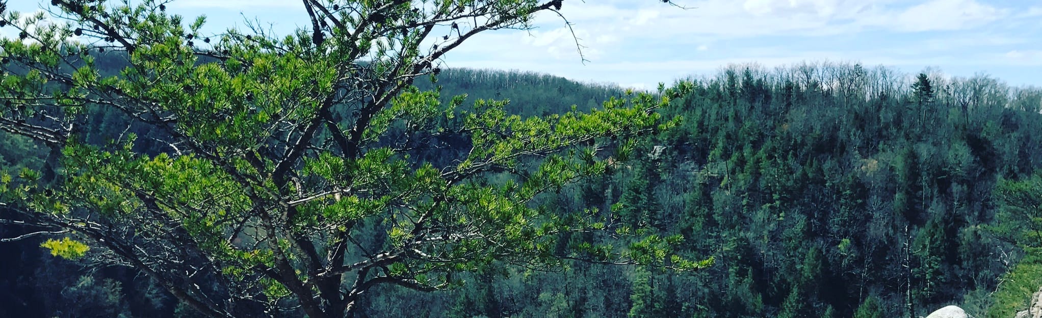 Big Ridge, Tennessee - 65 Reviews, Map | AllTrails