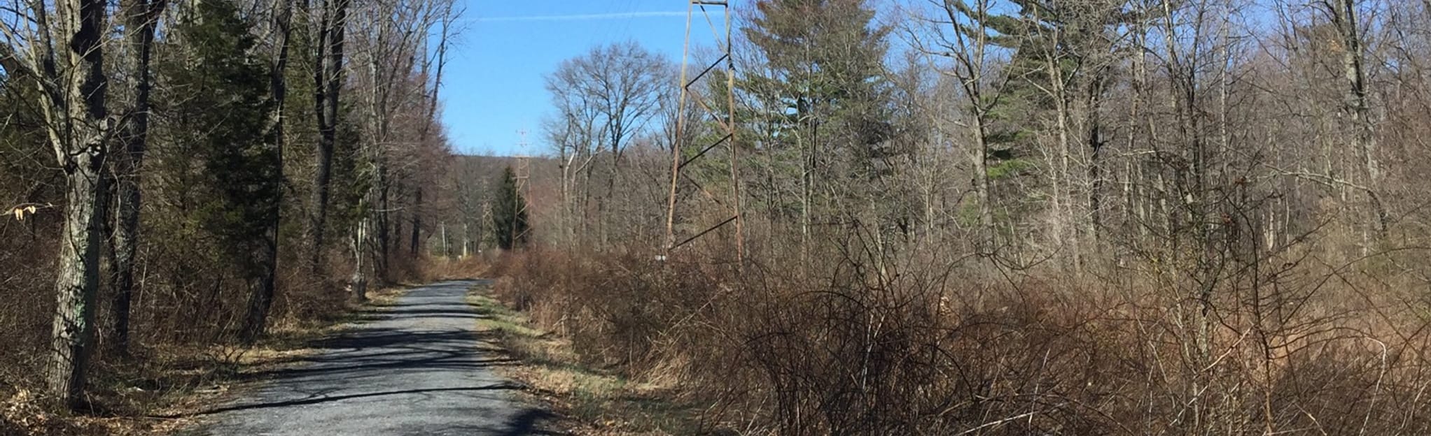 Bushkill Township Trail, Pennsylvania - 285 Reviews, Map | AllTrails