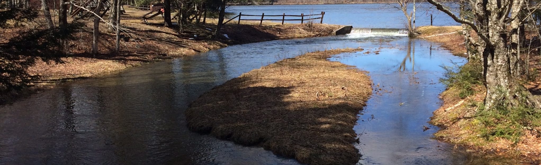 Mongaup Pond Loop: 90 Reviews, Map - New York | AllTrails