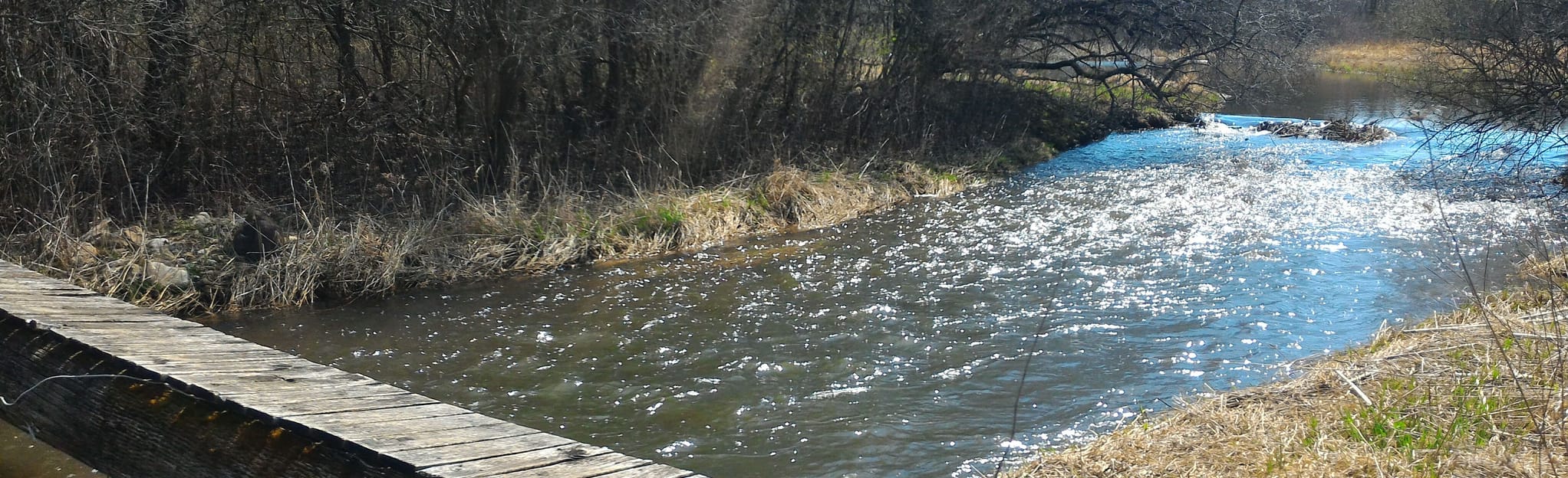 Spring Lake Nature Preserve, Illinois - 96 Reviews, Map | AllTrails