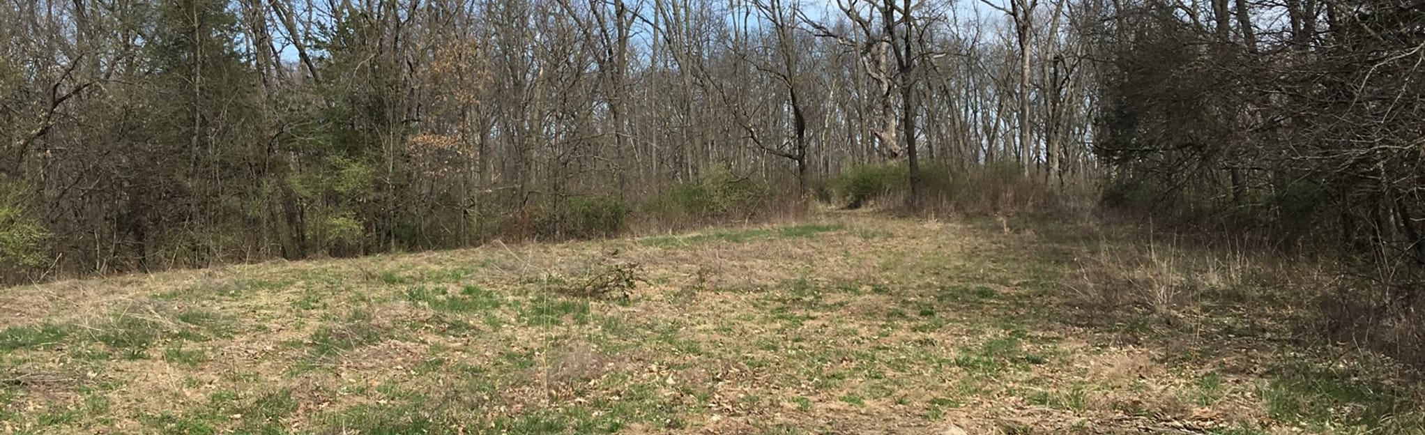 Shimek Forest Trail, Iowa - 43 Reviews, Map | AllTrails