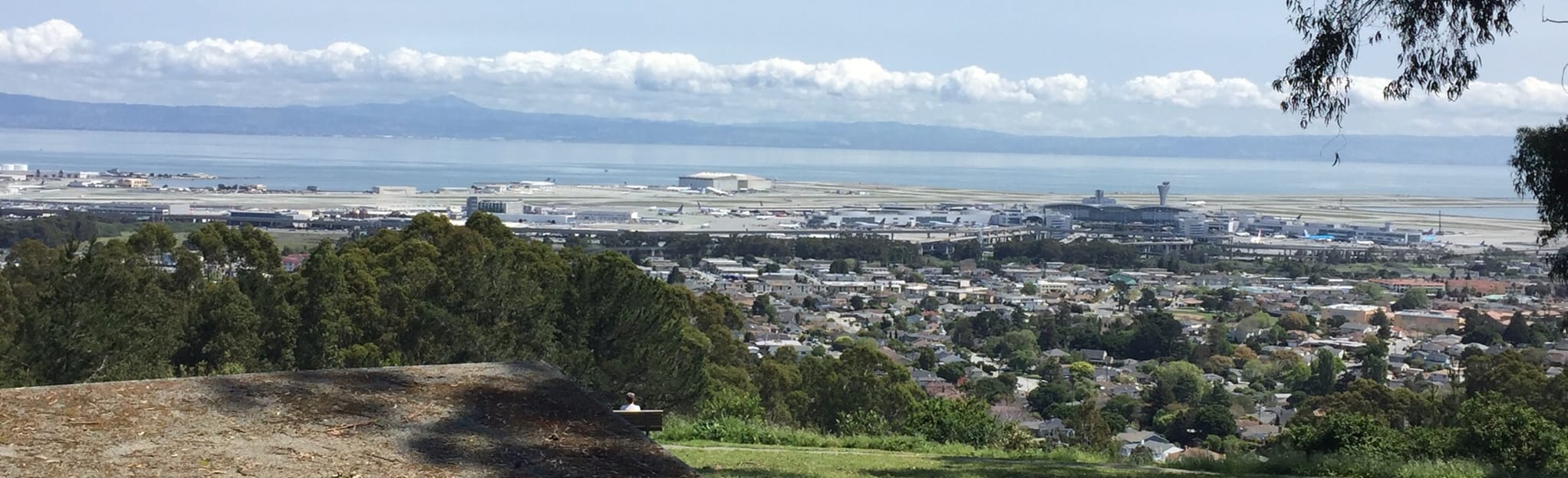 Quail Loop Trail to Live Oak Nature Trail: 370 Reviews, Map ...