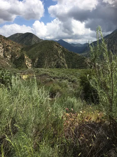 10 Best Trails and Hikes in Sunland-Tujunga | AllTrails