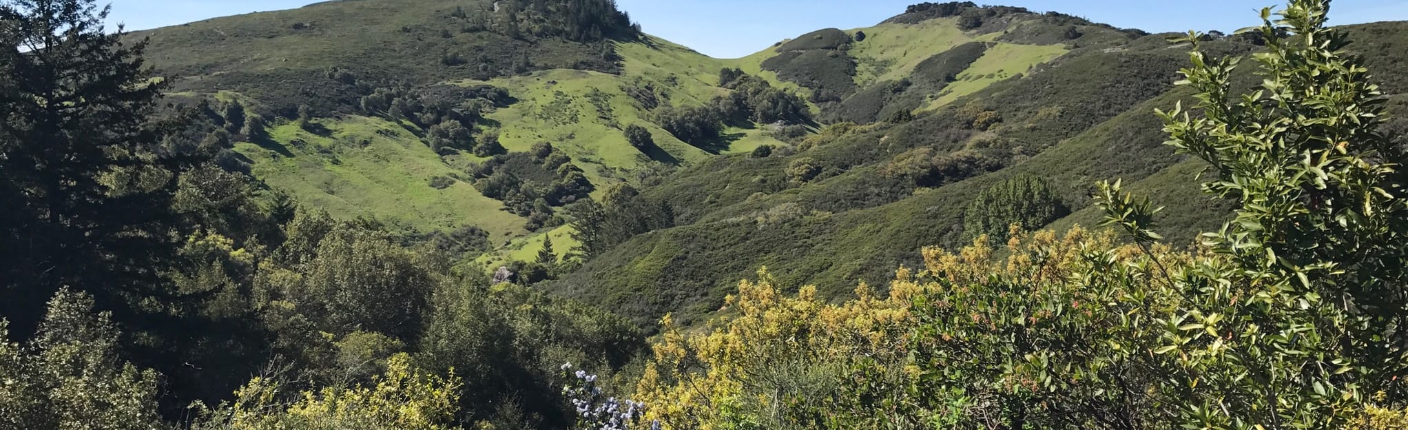 Carson Falls Trail: 477 Reviews, Map - California | AllTrails