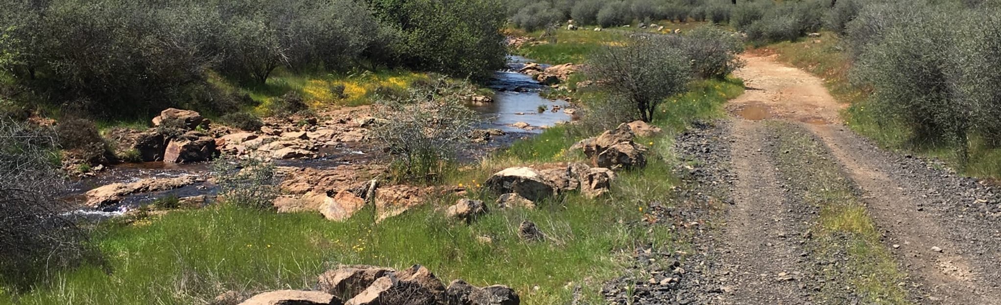 Serpentine Loop Road, California - 86 Reviews, Map | AllTrails