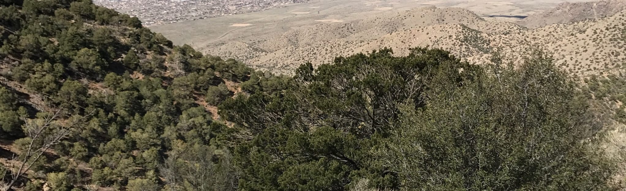 Sandia Crest via La Luz #137 and Crest House Spur Trail #8A, New Mexico ...