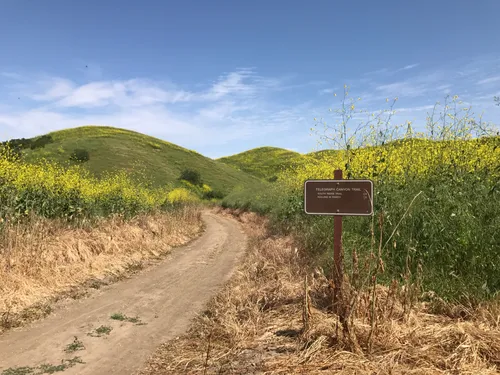 10 Best Trails and Hikes in Riverside | AllTrails