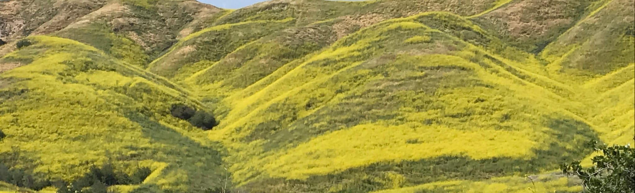 Gilman Peak via Water Canyon Trail and Gilman Trail, California - 15 ...