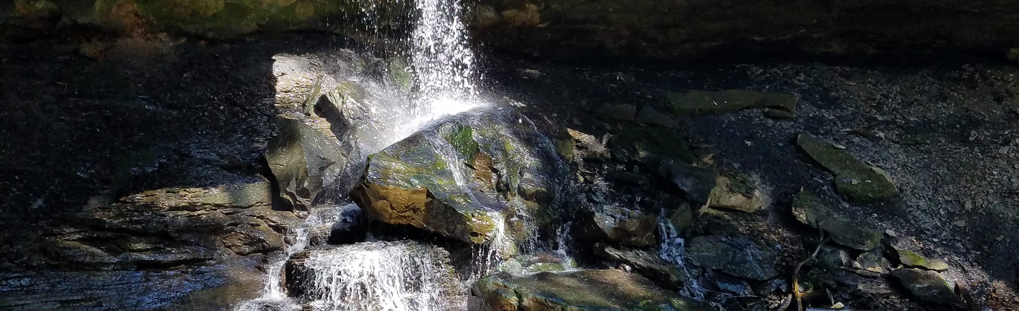 McCammon Falls , Kentucky - 94 Reviews, Map | AllTrails