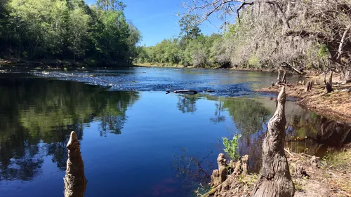 Best Hikes and Trails in Big Shoals State Park | AllTrails
