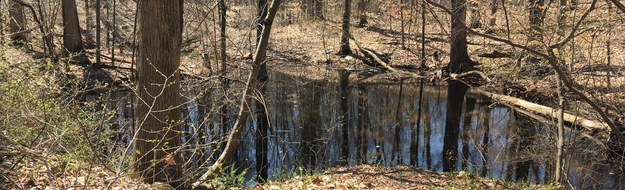 Stephens State Park Orange to White Trail Loop, New Jersey - 199 ...