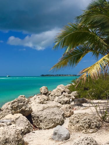 Best Hikes and Trails in Key West | AllTrails