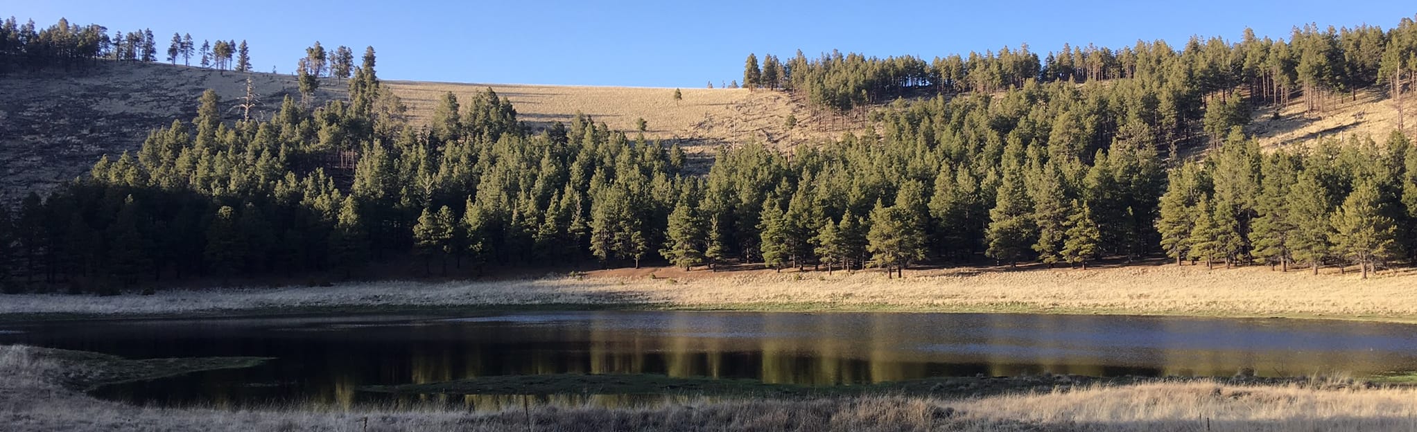 Walker Lake Trail, Arizona - 40 Reviews, Map | AllTrails