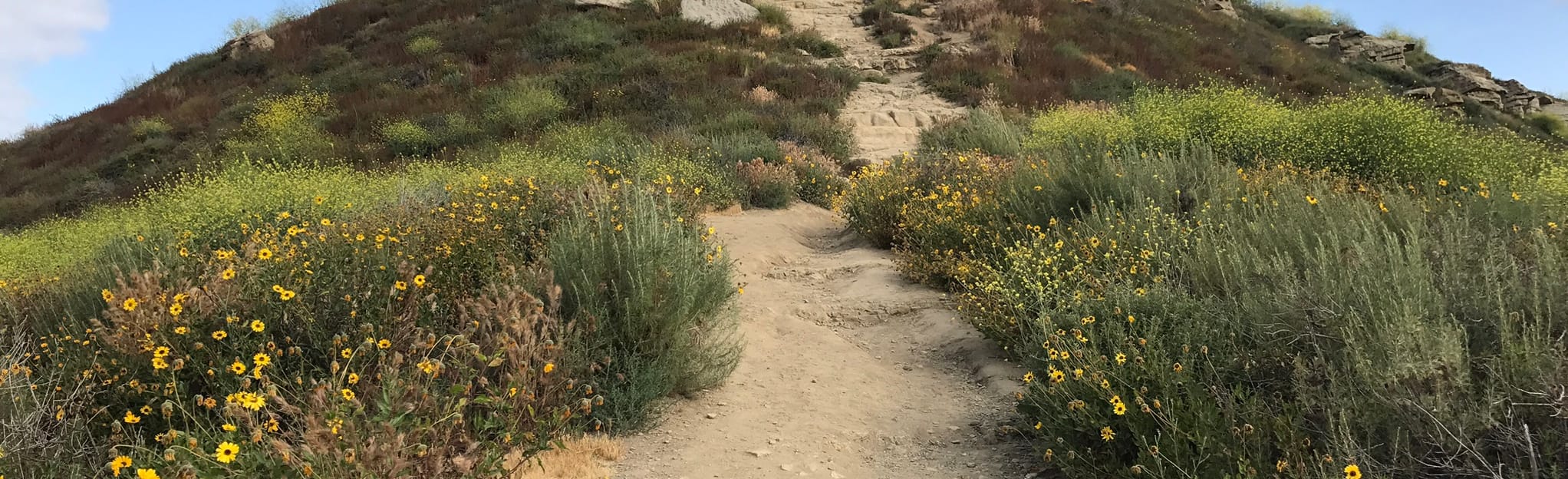 Turtle Rock and French Hill Loop: 2,229 Reviews, Map - California ...