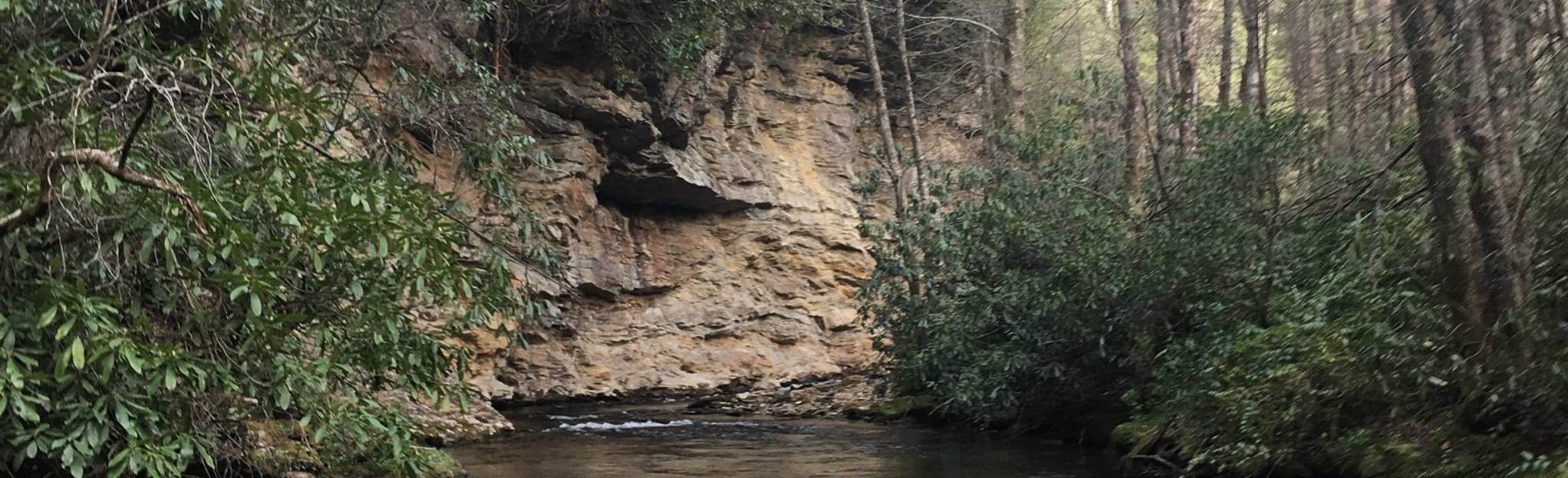 Squirrel Gap, Horse Cove Gap and Copperas Rock Loop Trails - North ...