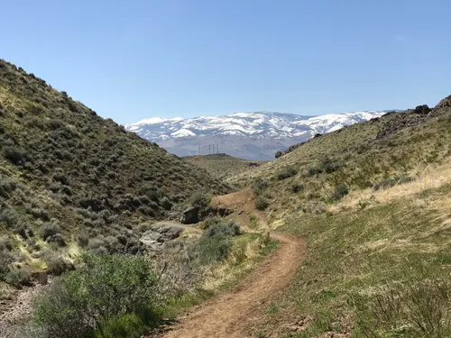 10 Best Trails and Hikes in Reno | AllTrails