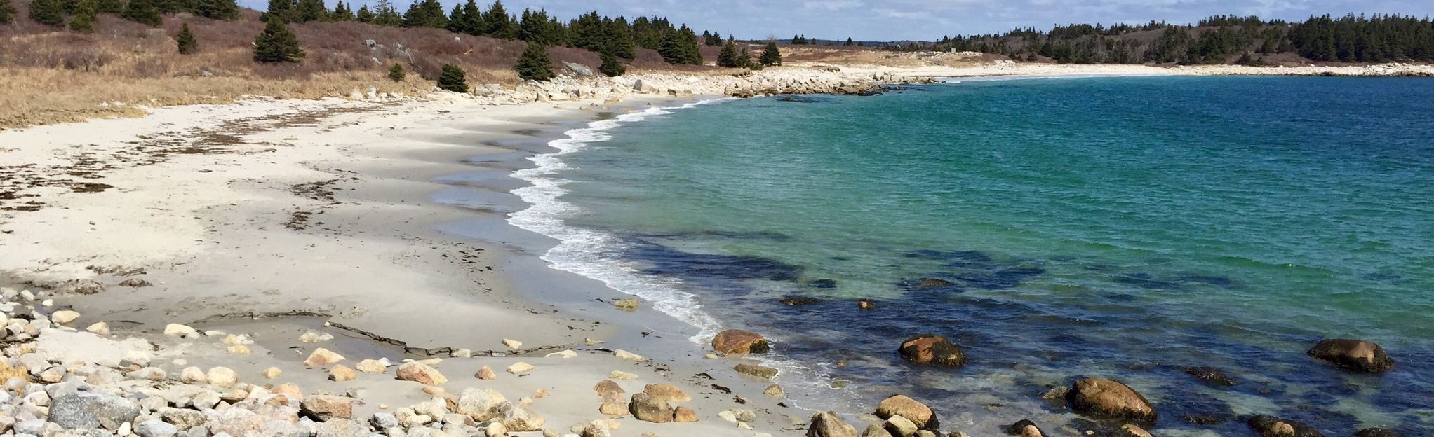 Crystal Crescent Beach Provincial Park Trail: 320 foto's - Nova Scotia ...