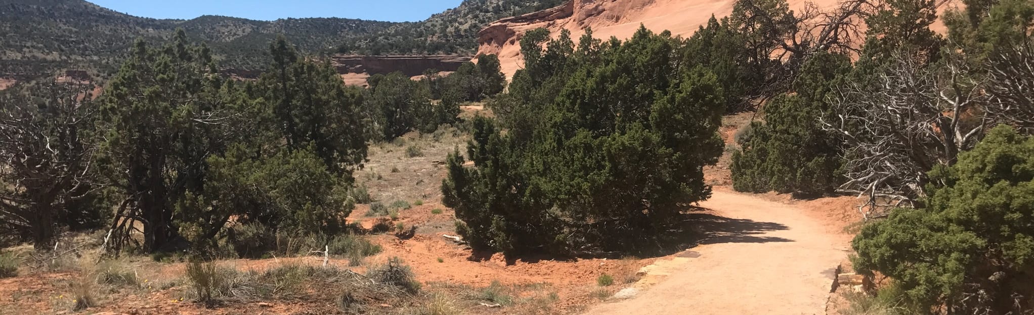 Alcove Nature Trail, Colorado - 134 Reviews, Map | AllTrails