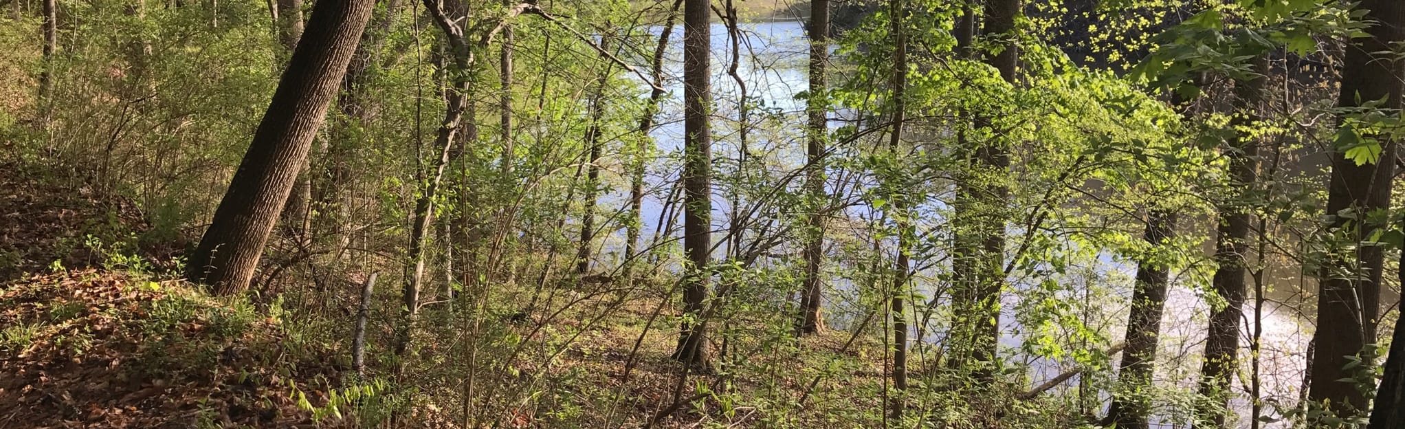 Sherwood Trail to Western Run | Map, Guide - Maryland | AllTrails