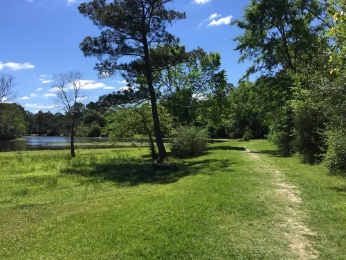 Best Hikes and Trails in Spring Trails and Peckinpaugh Preserve | AllTrails