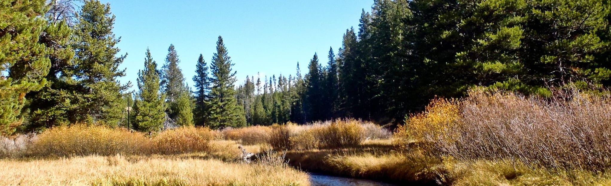 Heart Lake and Two Ocean Plateau Loop : 9 Photos - Montana | Randonnée ...