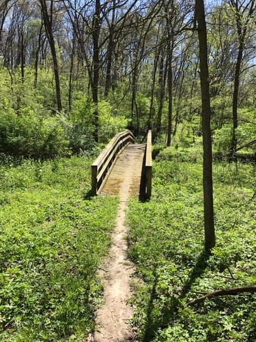 Best Hikes and Trails in Jubilee College State Park | AllTrails