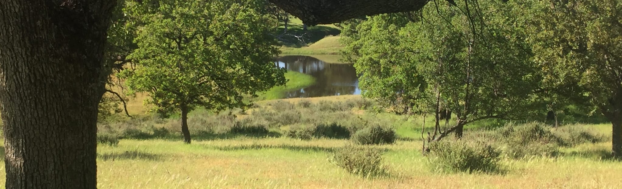 West Vista Loop, California - 398 Reviews, Map | AllTrails