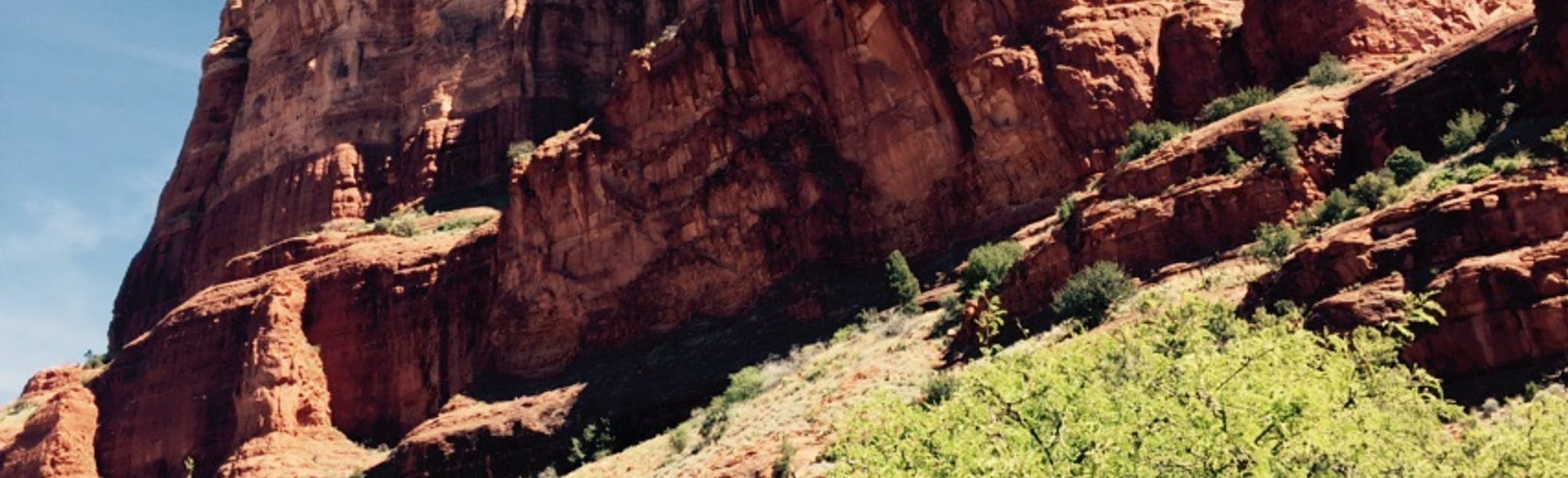 Big Park Loop, Arizona - 1,709 Reviews, Map | AllTrails