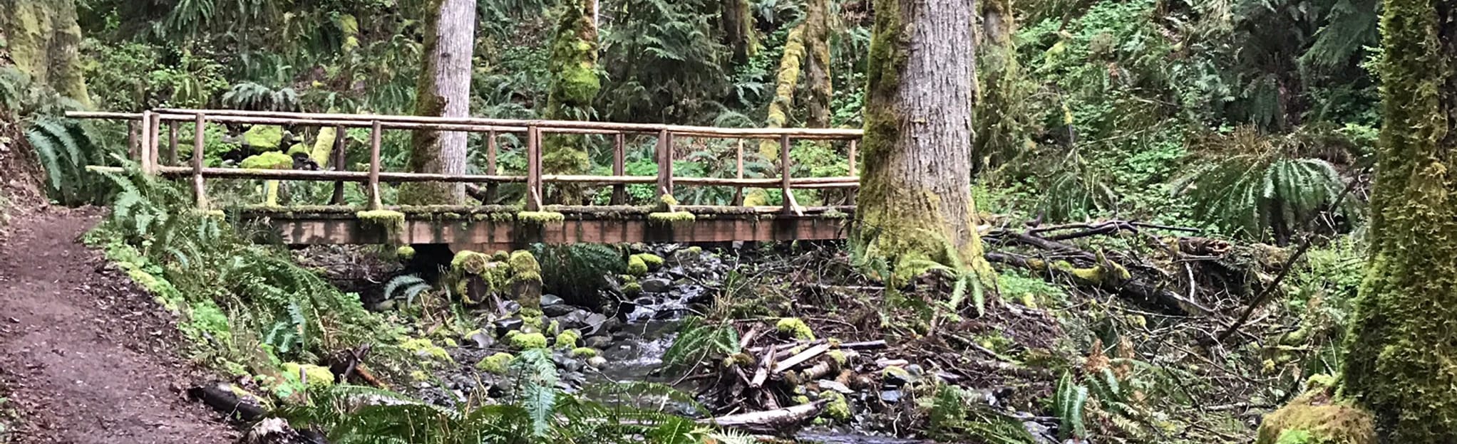 Maple Valley and Steam Donkey Loop, Washington - 667 Reviews, Map ...