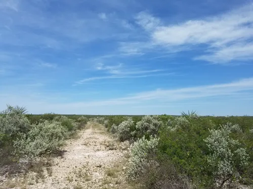 2023 Best River Trails in Del Rio | AllTrails