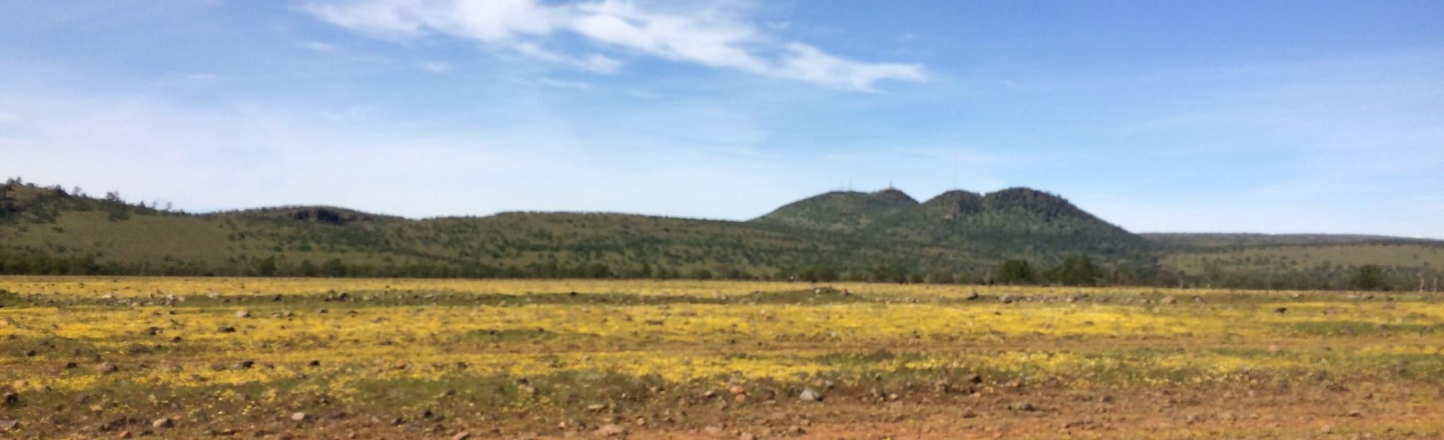 Hogsback Road: 33 Reviews, Map - California | AllTrails