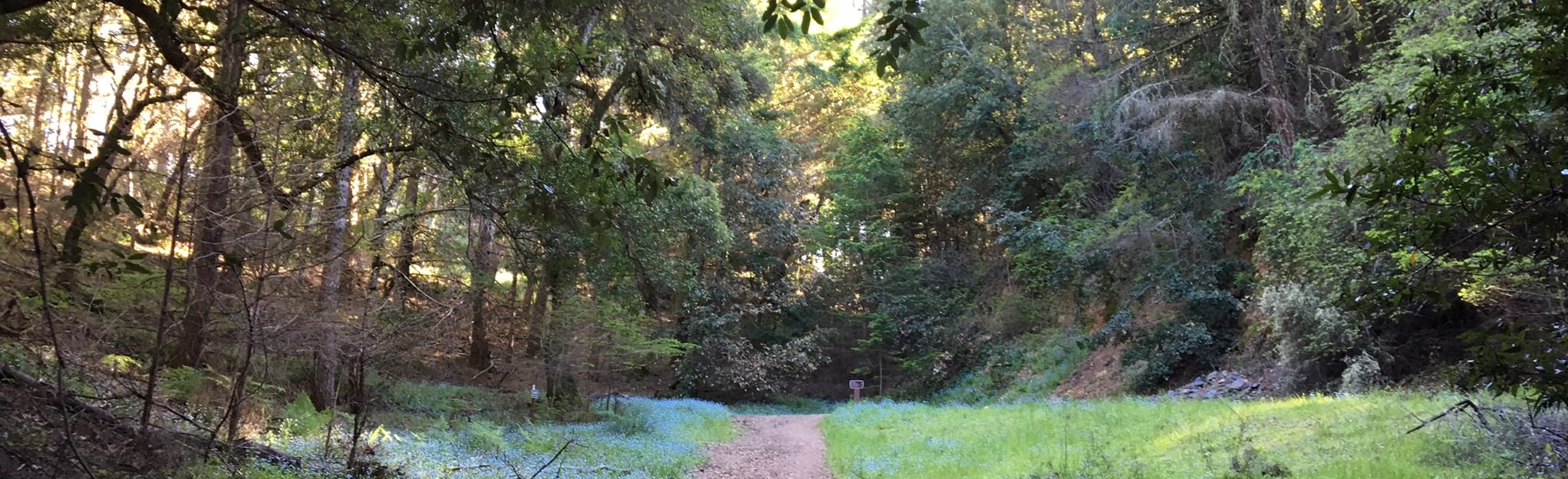 Tafoni Loop, California - 973 Reviews, Map | AllTrails