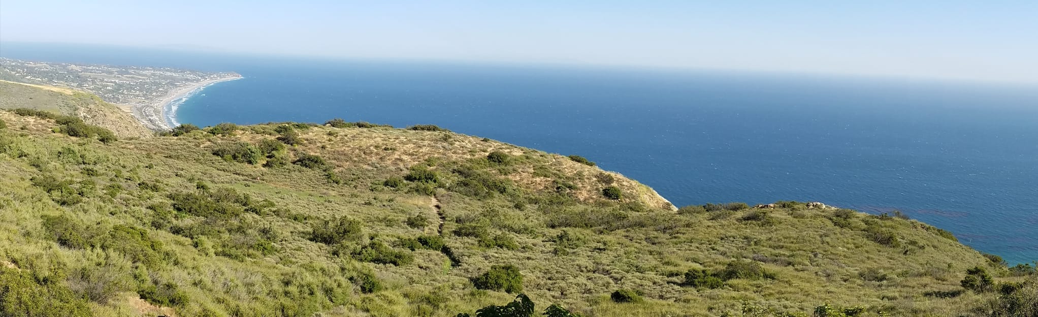 Ocean Overlook Loop Trail: 1.561 foto's - Californië | AllTrails