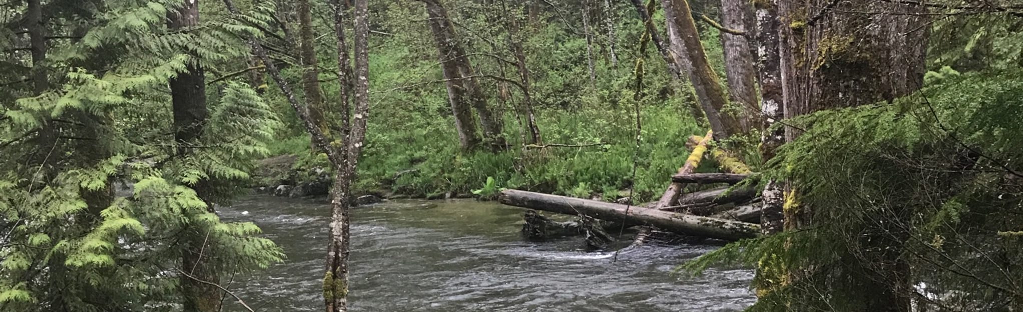 Coquitlam River Walk , British Columbia, Canada - 284 Reviews, Map ...