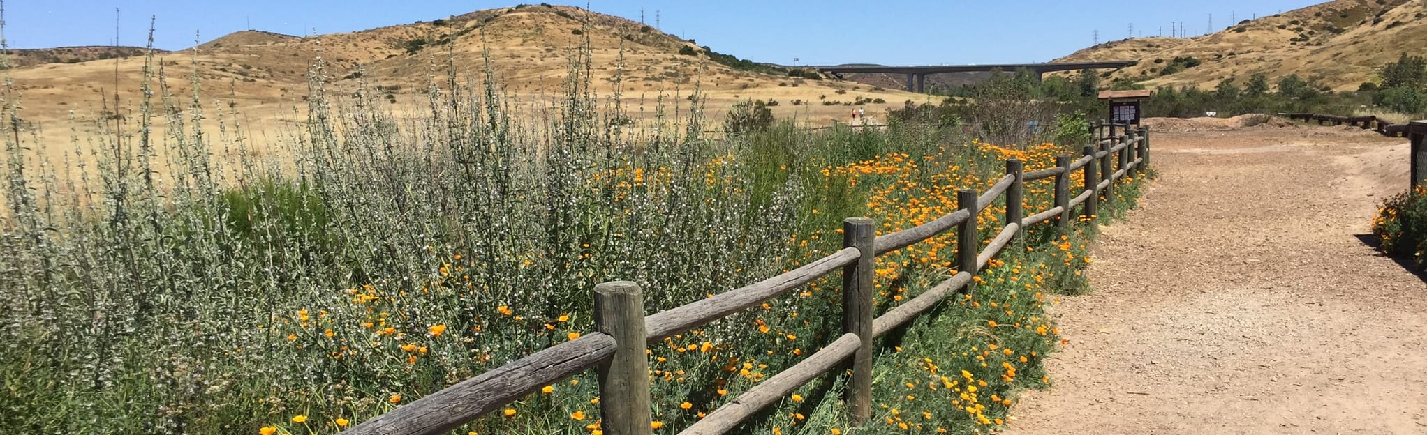 Grasslands Loop Trail: 1302 Reviews, Map - California | AllTrails