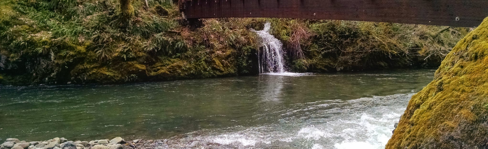 Santiam Wagon Road to House Rock, Oregon - 394 Reviews, Map | AllTrails