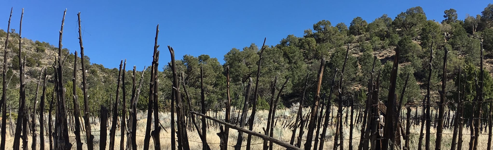 Mormon Well: 4 Reviews, Map - Nevada | AllTrails