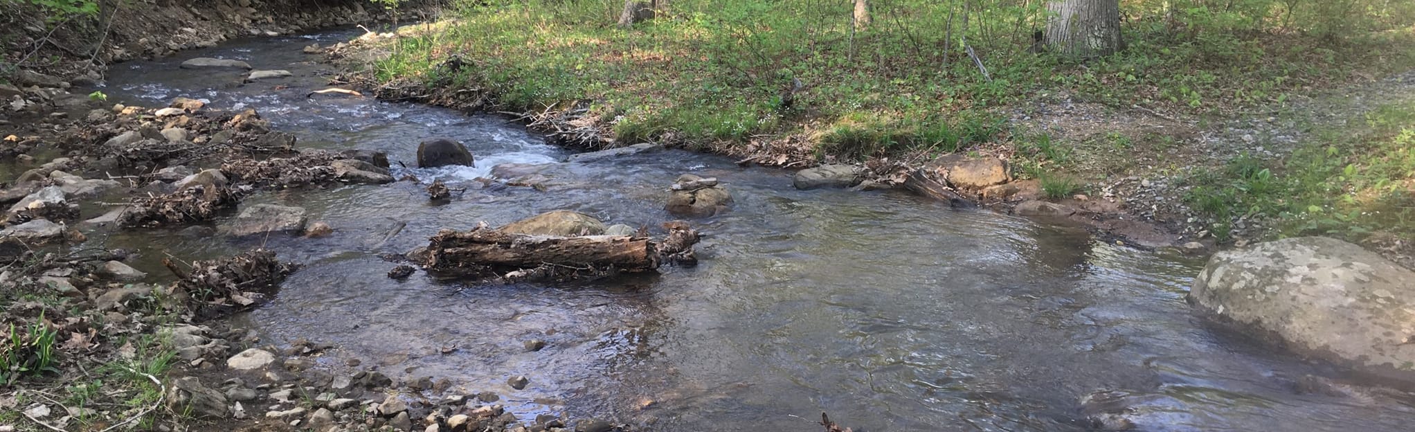 Vance’s Cove Short Loop, Virginia - 28 Reviews, Map | AllTrails