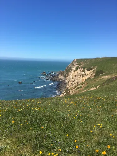 Best 10 Hikes and Trails in Point Reyes National Seashore | AllTrails