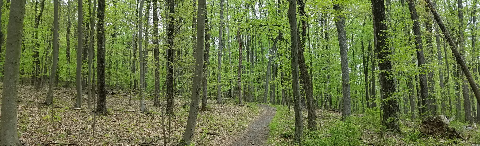 Maple Flats, Tributary, and Devil's Half-Acre Trail Loop, New Jersey ...