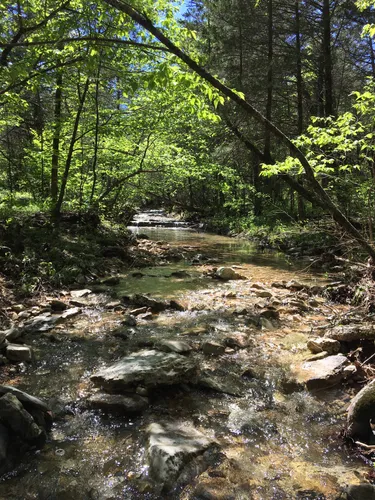 10 Best Hikes and Trails in Busiek State Forest and Wildlife Area ...