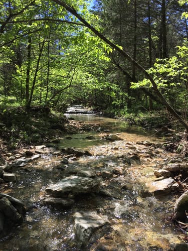 Best 10 Hikes and Trails in Busiek State Forest and Wildlife Area ...