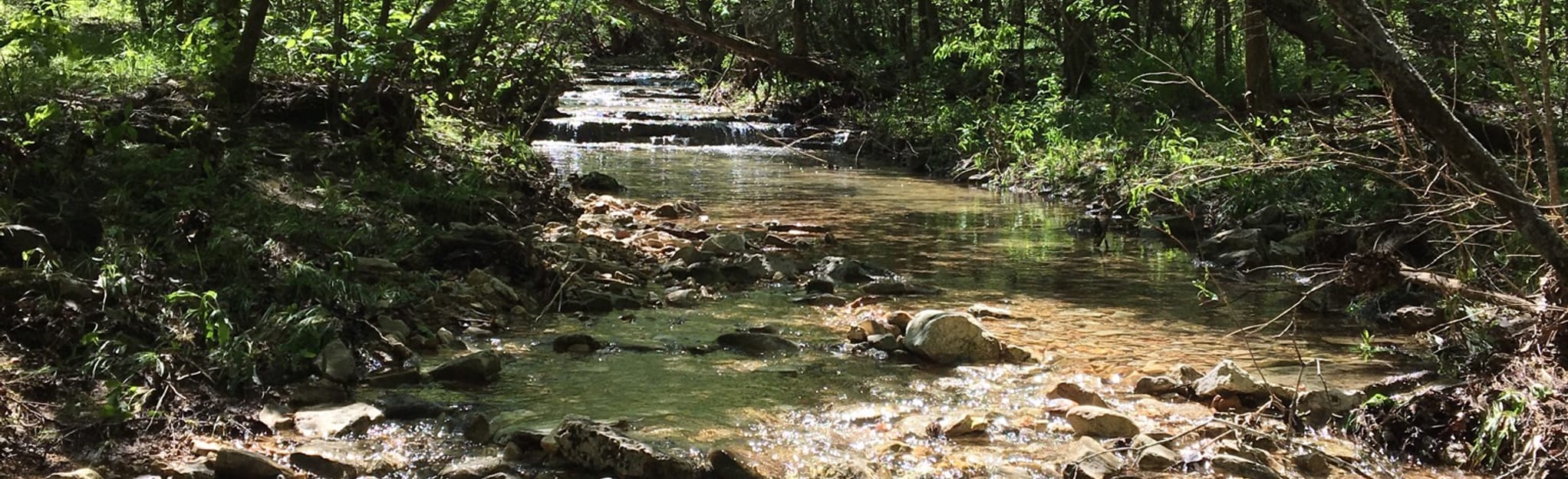 Busiek Blue Trail, Missouri - 105 Reviews, Map | AllTrails