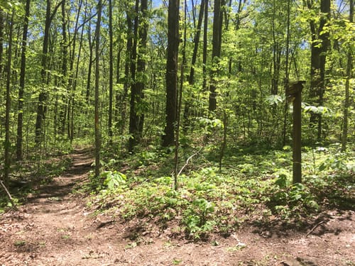 Best Hikes and Trails in Shackleford Ridge Park | AllTrails