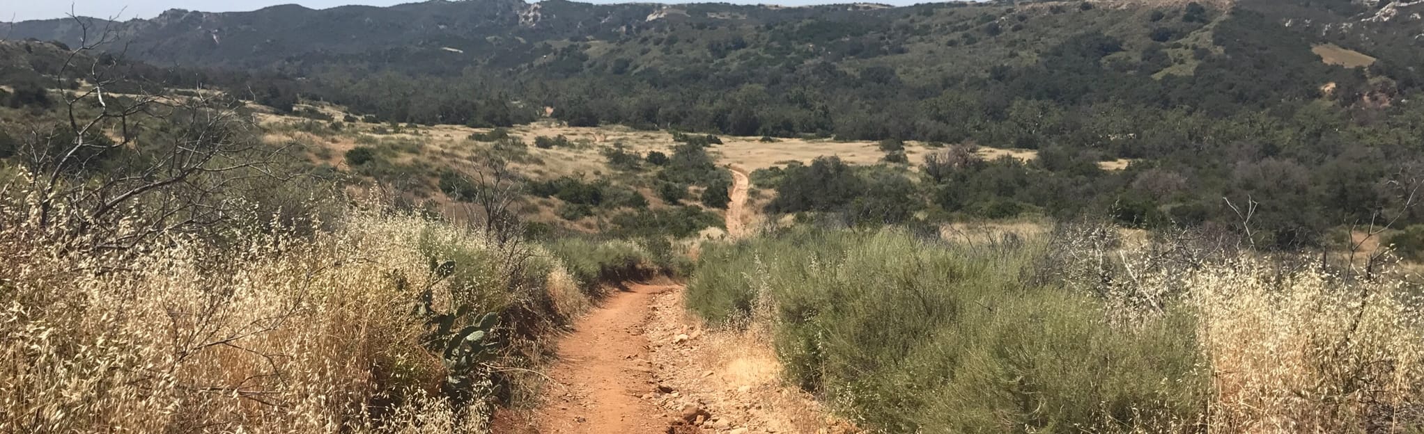 East Ridge, Cougar Pass, Bell Canyon: 65 Reviews, 424 Photos, Map ...