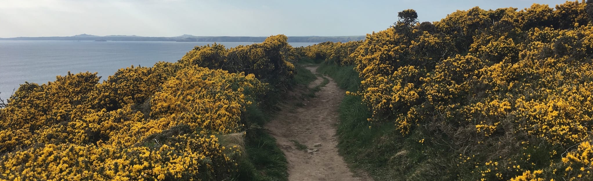 Broadhaven to Newgale Sands - Pembrokeshire, Wales | AllTrails